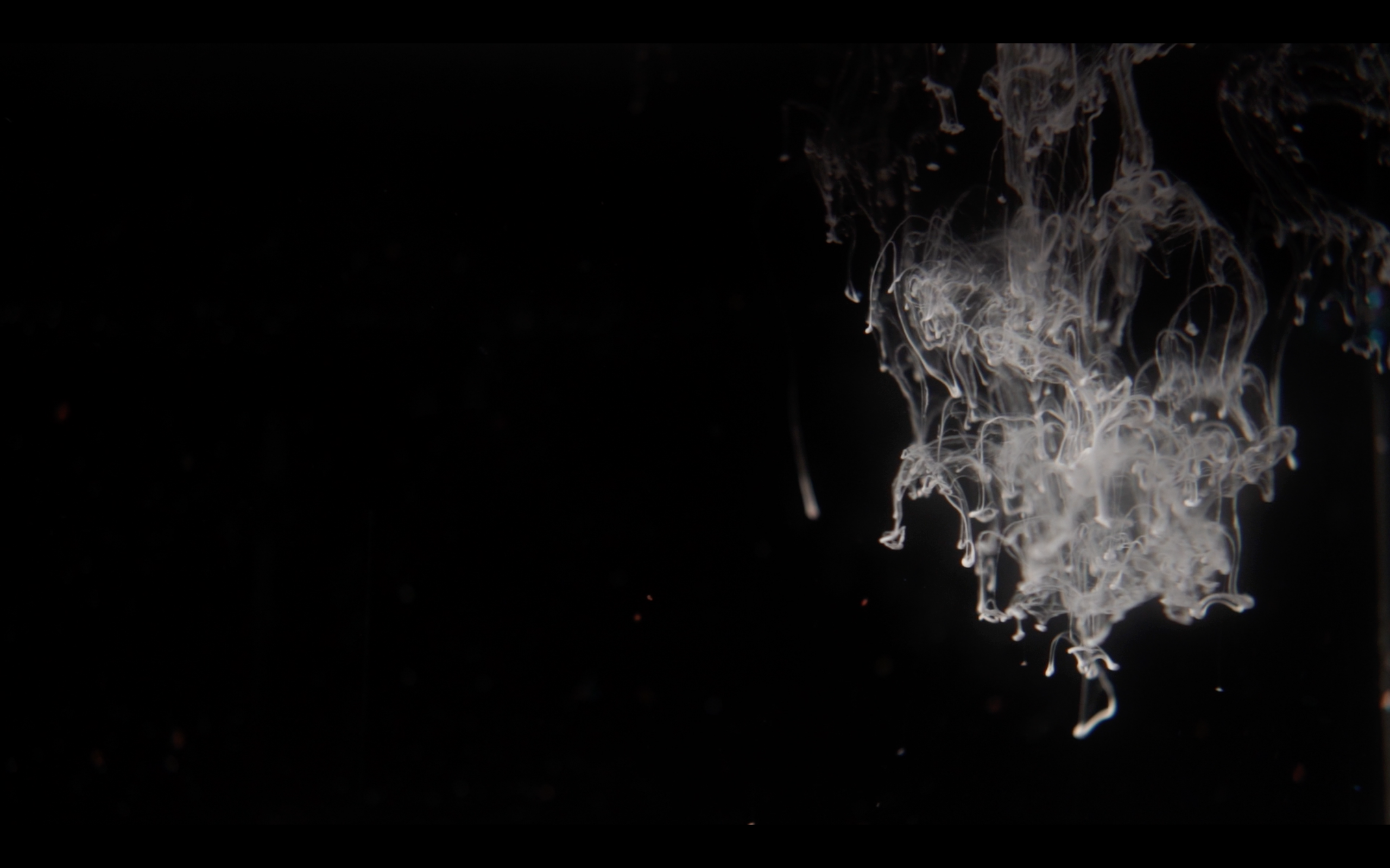 mattprentice | experimental media and other things